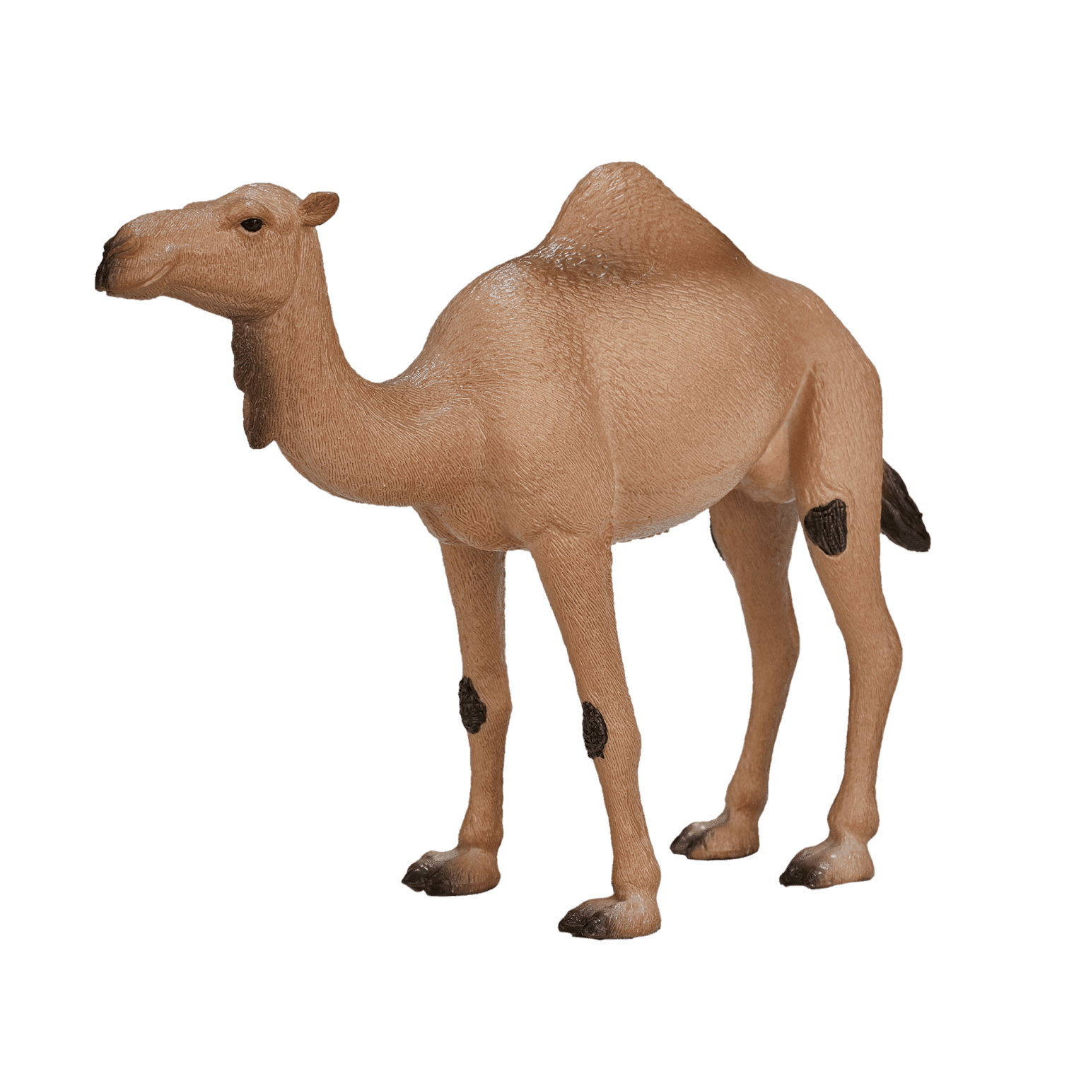 CAMELO ARÁBICO MOJO FUN RÉPLICA DE ANIMAL BONECO COLECIONÁVEL – Pateo ...