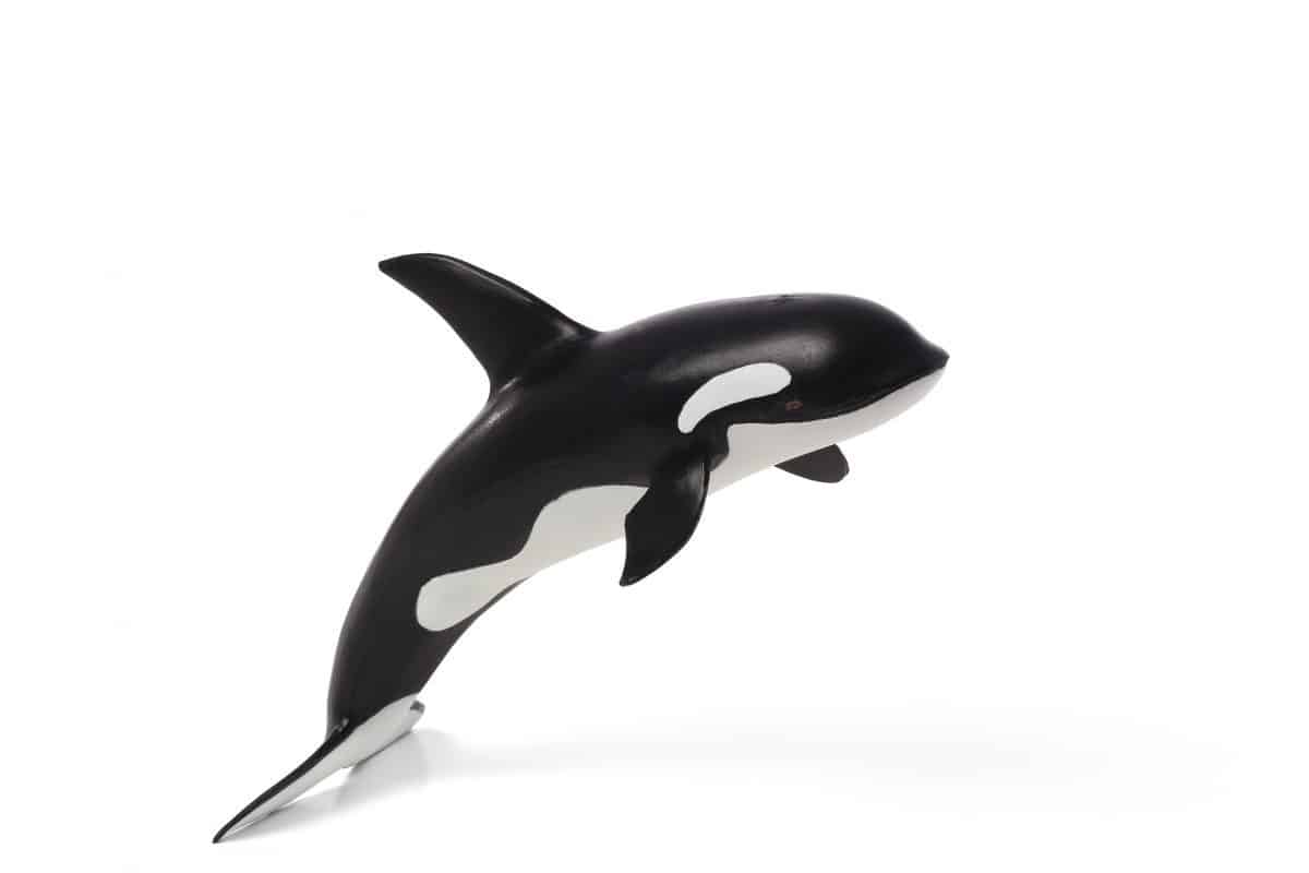 ORCA GRANDE MOJO FUN RÉPLICA DE ANIMAL BONECO COLECIONÁVEL – Pateo das ...